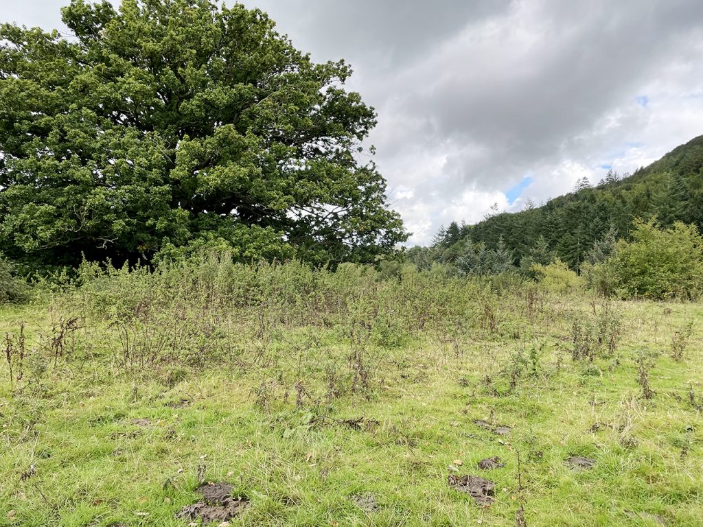 Sycharth: A National Treasure Neglected – Jac o' the North