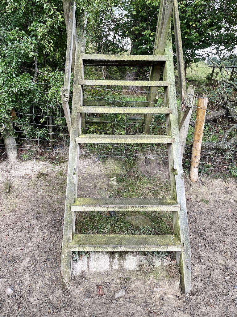 Sycharth: A National Treasure Neglected – Jac o' the North