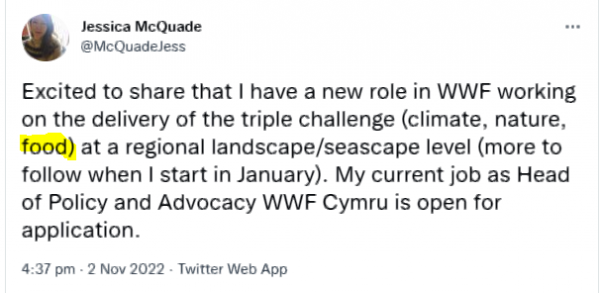 Wales: Ruled By Pressure Groups – Jac o' the North